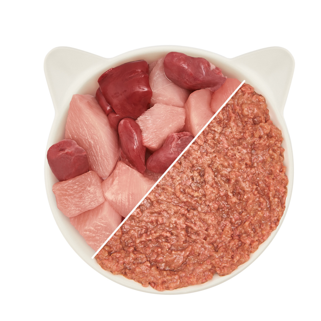 WOW CAT Huhn Pur - kurczak dla dorosłych kotów (200g) > WOW CAT